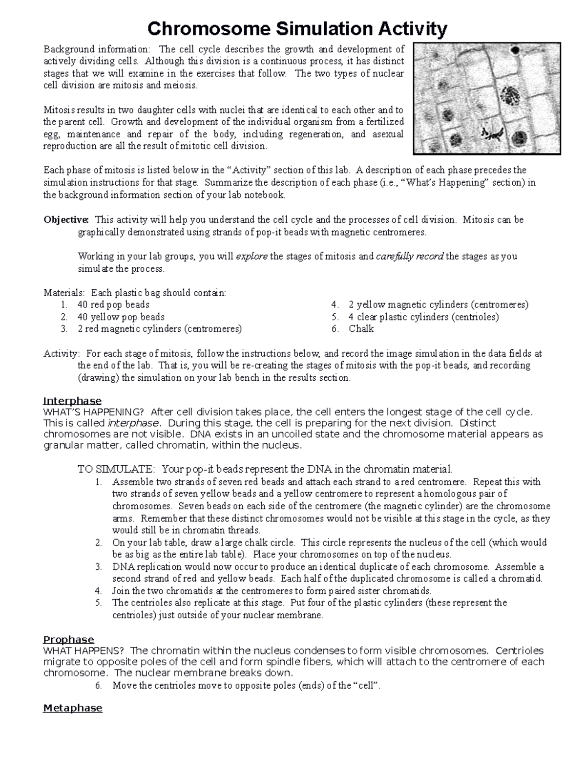 Mitosis - Chromosome simulation activity - Chromosome Simulation ...