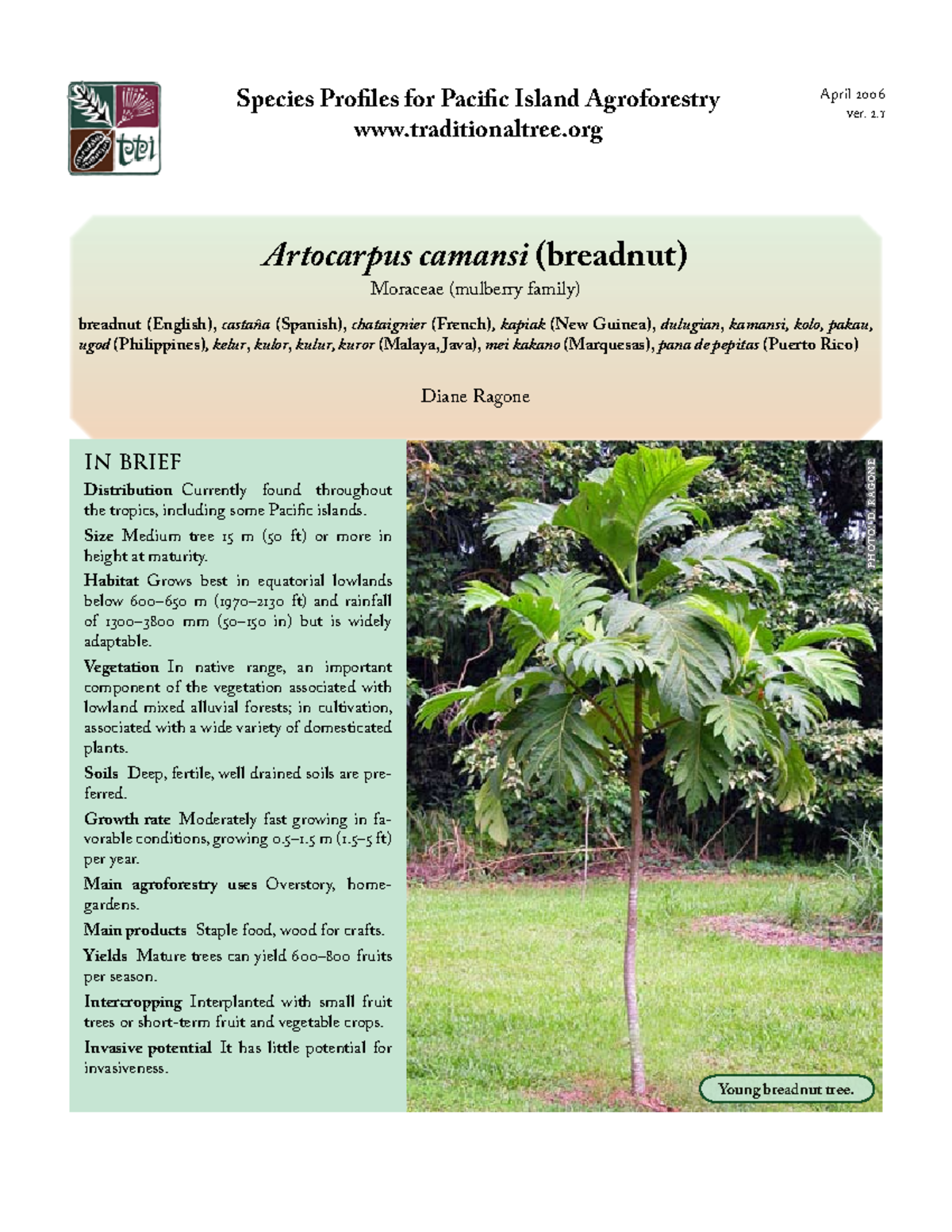 Cultivating Artocarpus camansi: A Study for Agroforestry Practices ...