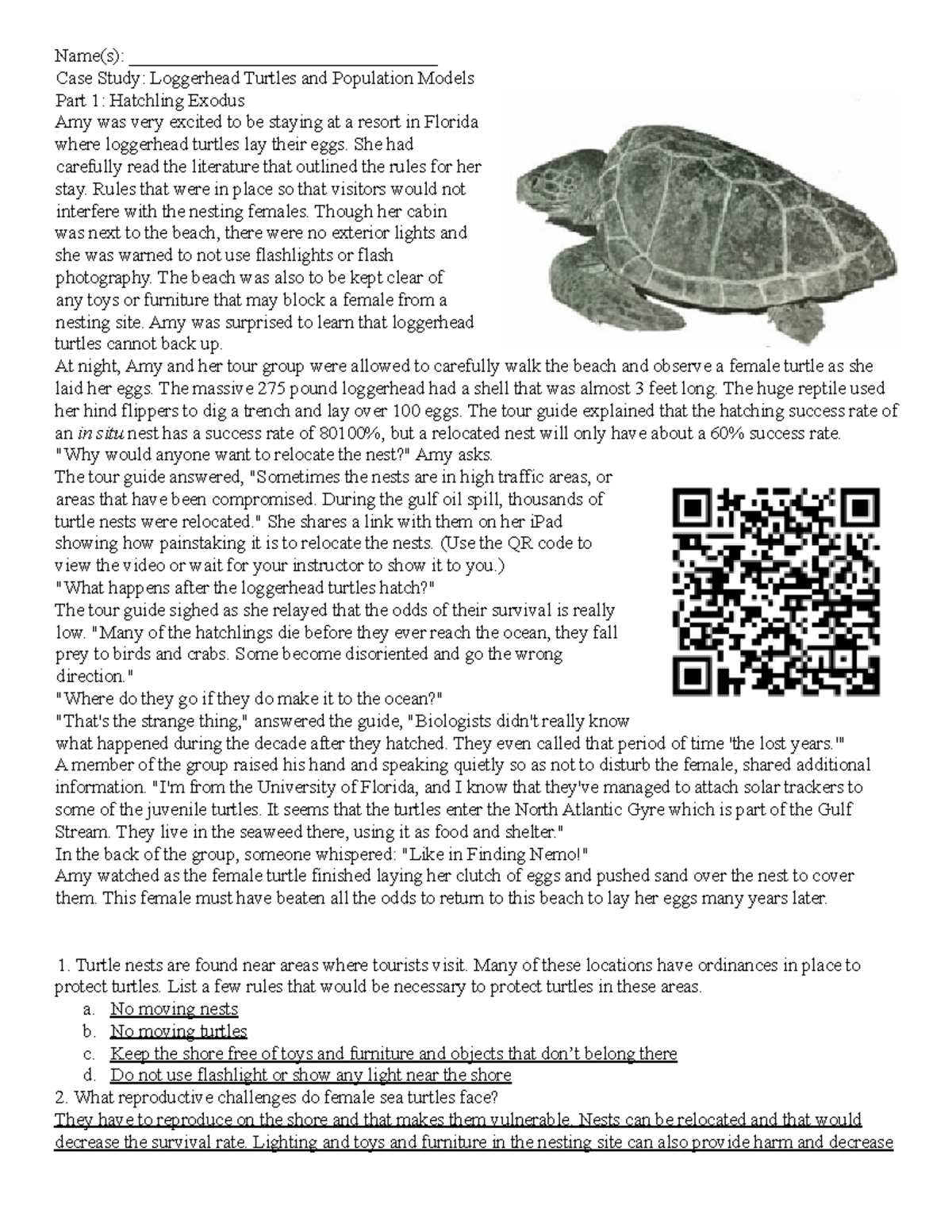 Case Study: Loggerhead Turtle Survivorship and Population Dynamics - Studocu