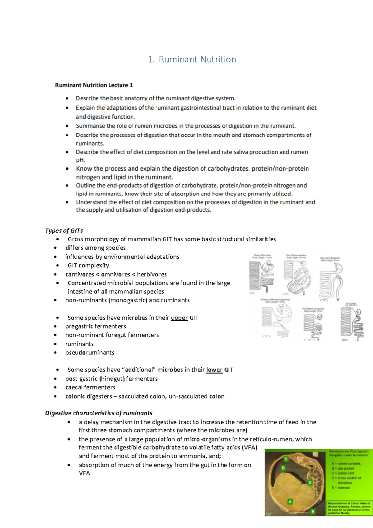 Ruminant nutrition - Lecture notes 1-20 - Subject: Ruminant 1\lutrition ...