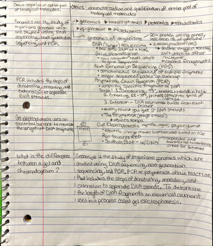 Paediatric vital signs - normal ranges - BIOL10232 - Paediatric Normal ...