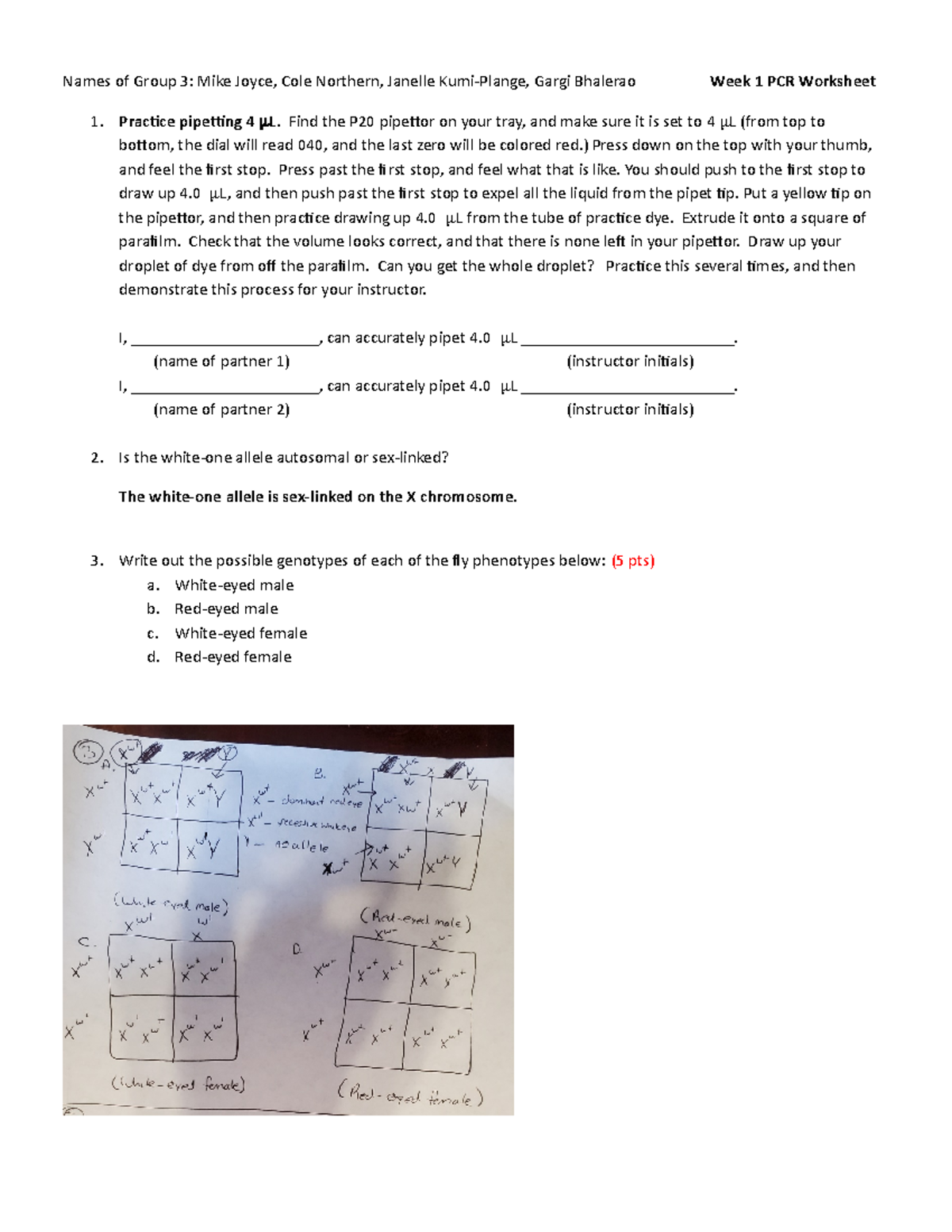 PCR Week 1 Worksheet - 20FS - Group 3 Instructions and Insights - Studocu