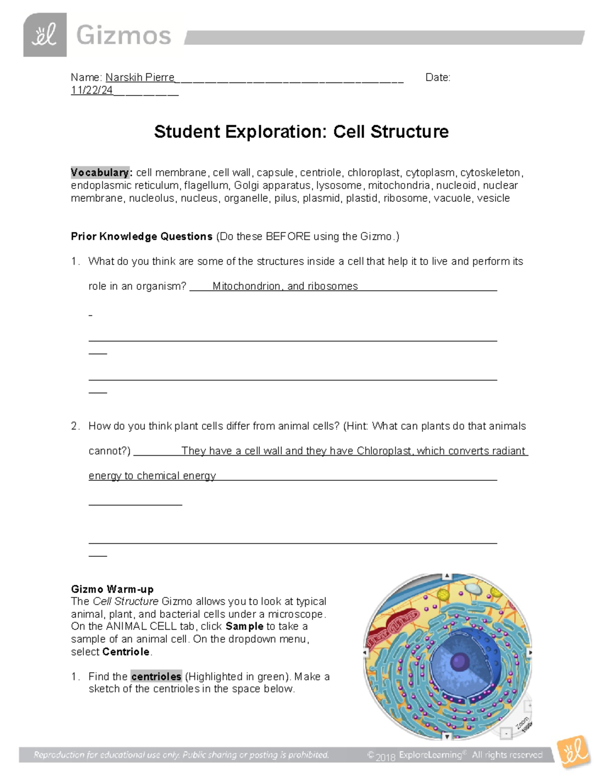Gizmo Cell Structure - Homework Review and Exploration Activities - Studocu