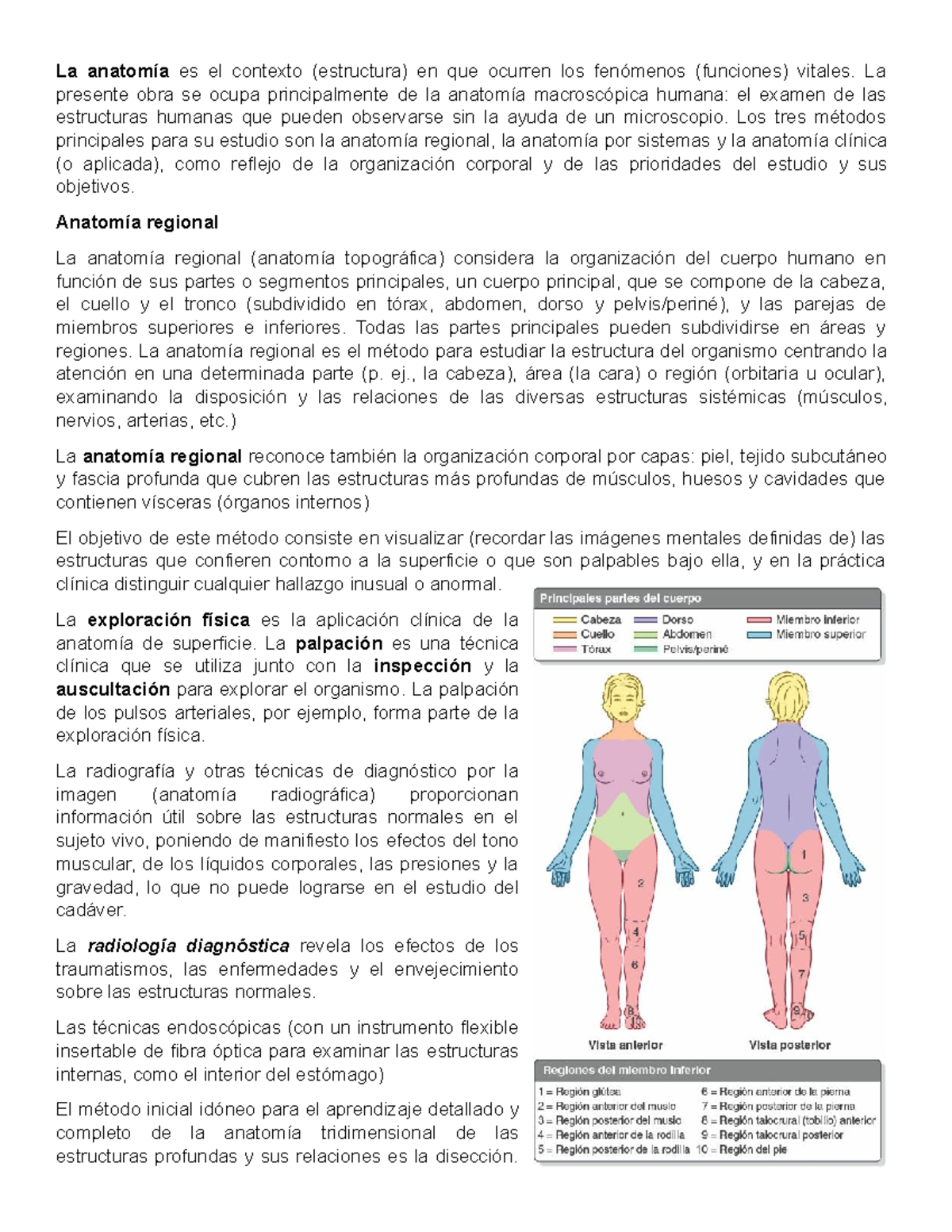 Capitulo-1-anatomia - apuntes de anatomia 2021/2022 USAC - La anatomía ...
