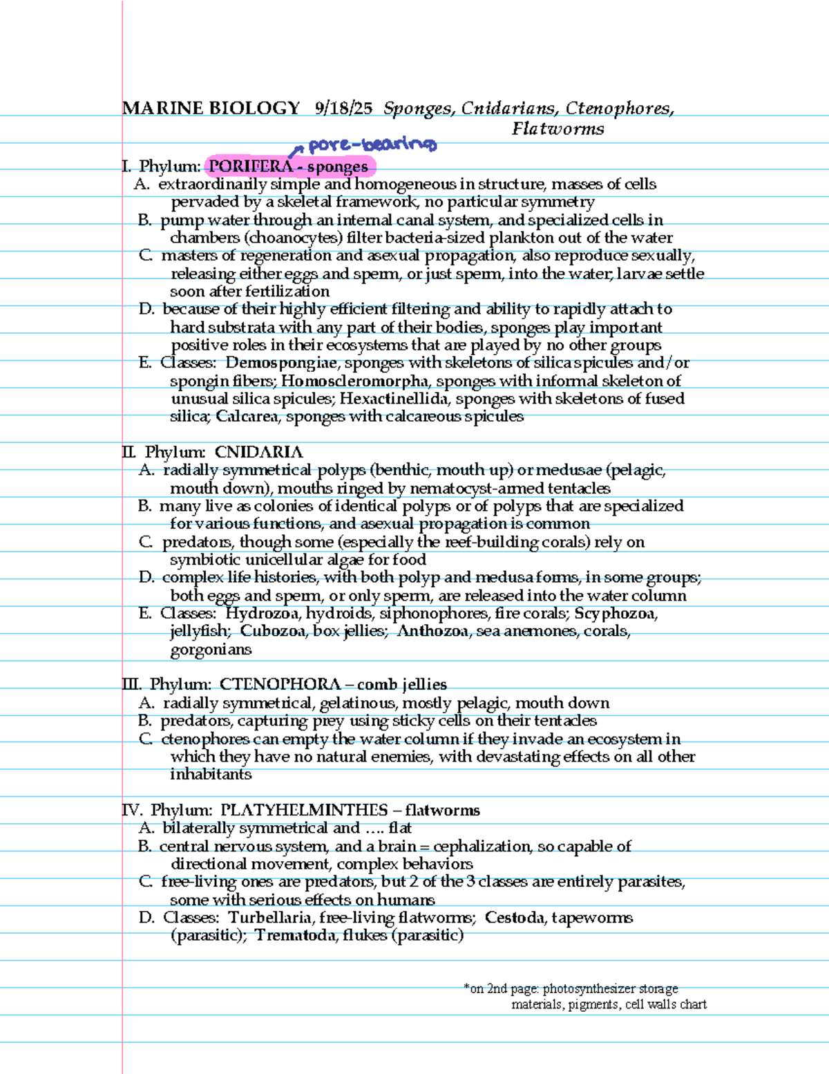 MARINE BIOLOGY: Sponges, Cnidarians, Ctenophores & Flatworms - Studocu
