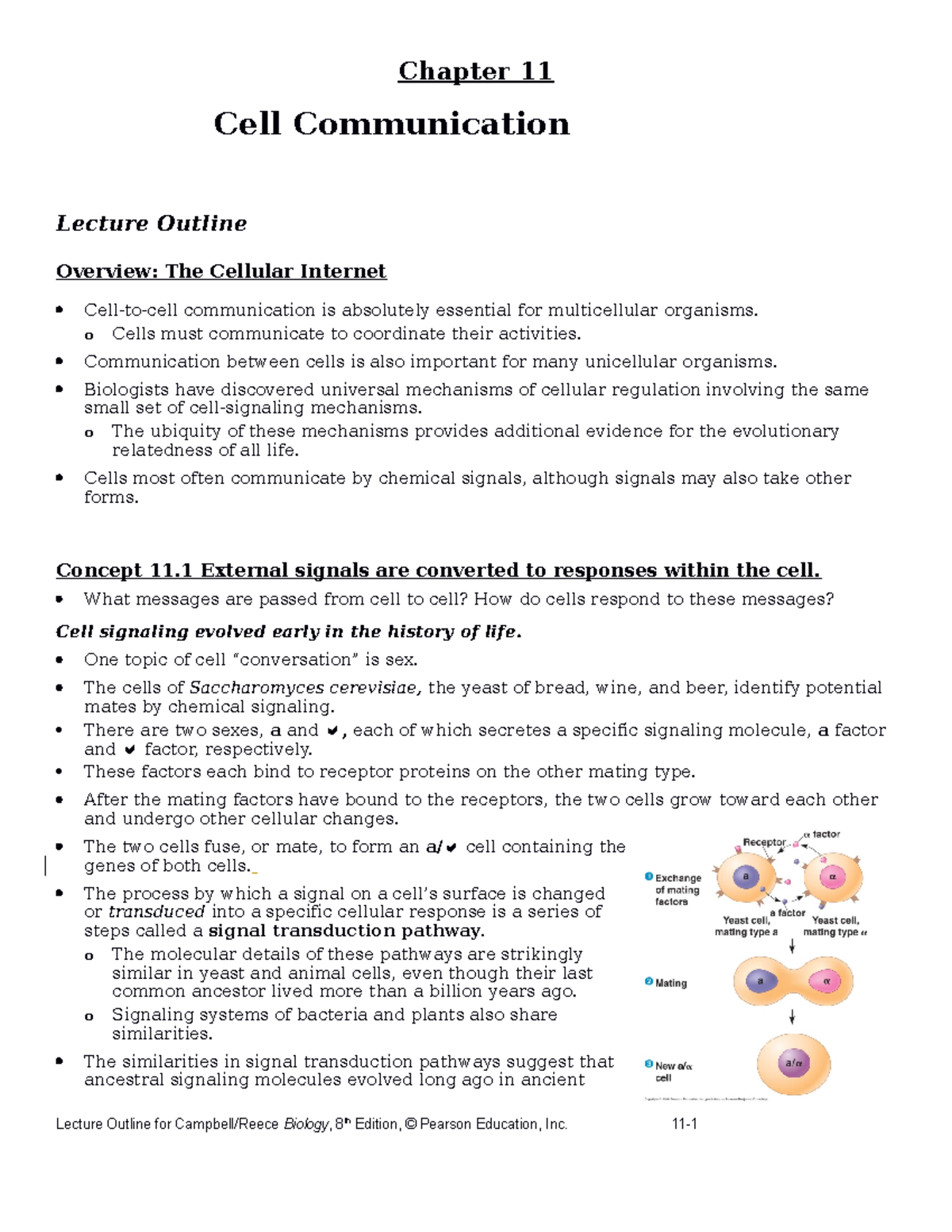 Chapter 11 Bio AP Notes - Cheat sheet - Chapter 11 Cell Communication ...