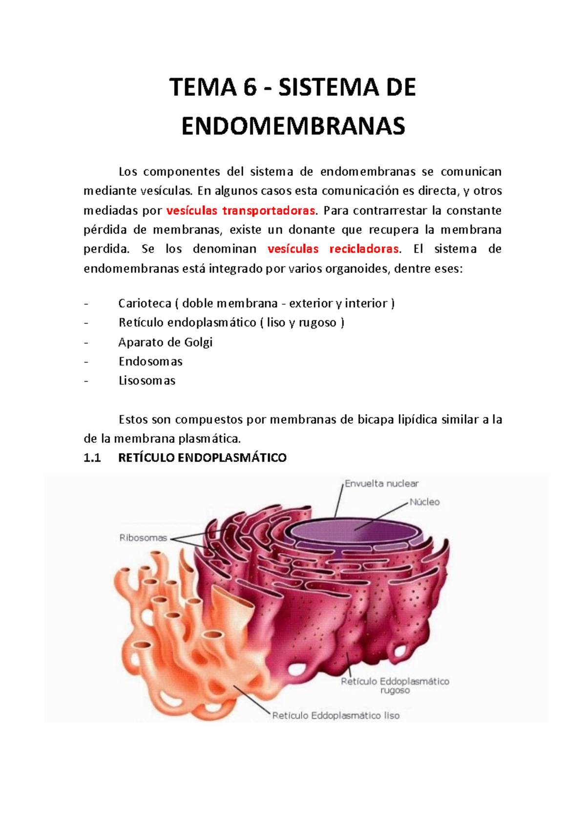 Biocel Semana 5sistema de endomembranas - TEMA 6 - SISTEMA DE ...