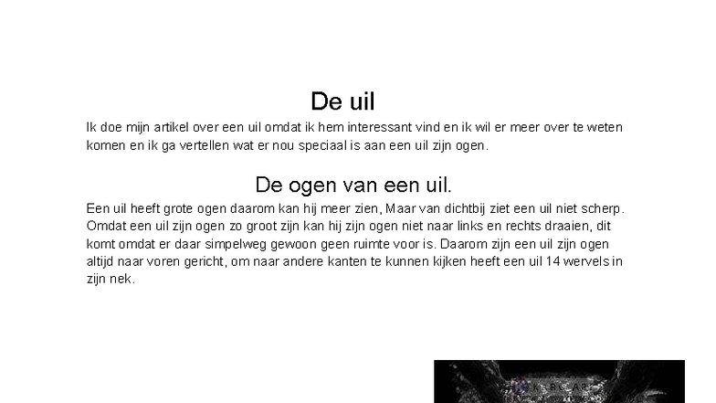 De uil: Fascinerende Feiten over de Ogen van een Uil - Studeersnel