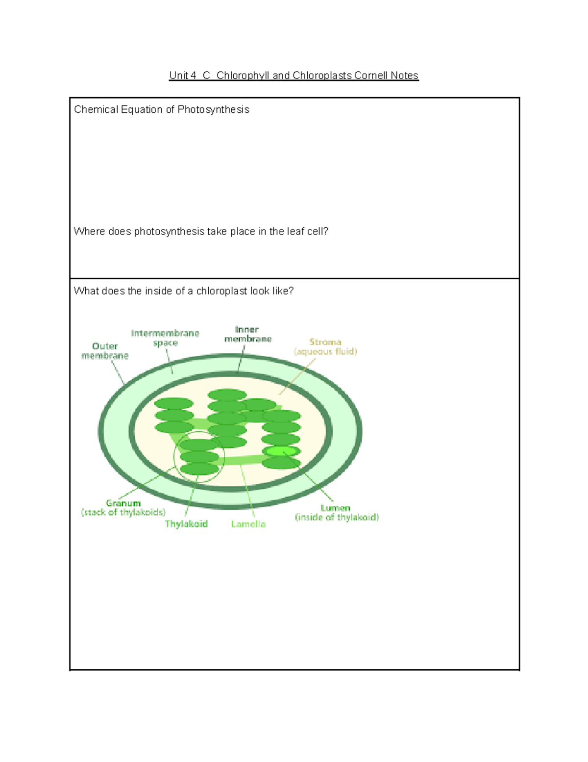 Unit 4C: Chlorophyll and Chloroplasts - Cornell Notes and Activities ...