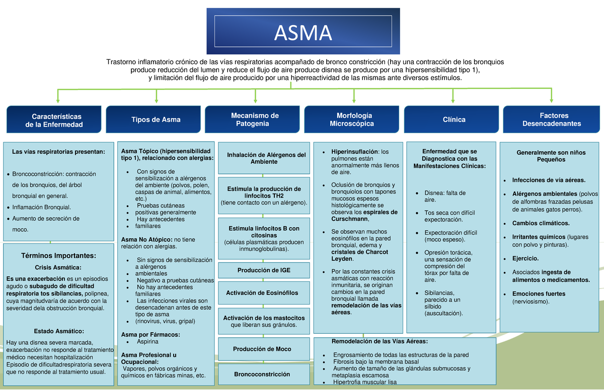 Conceptual Map of Asthma: Types, Mechanisms, and Triggers (Asma-Mapa ...