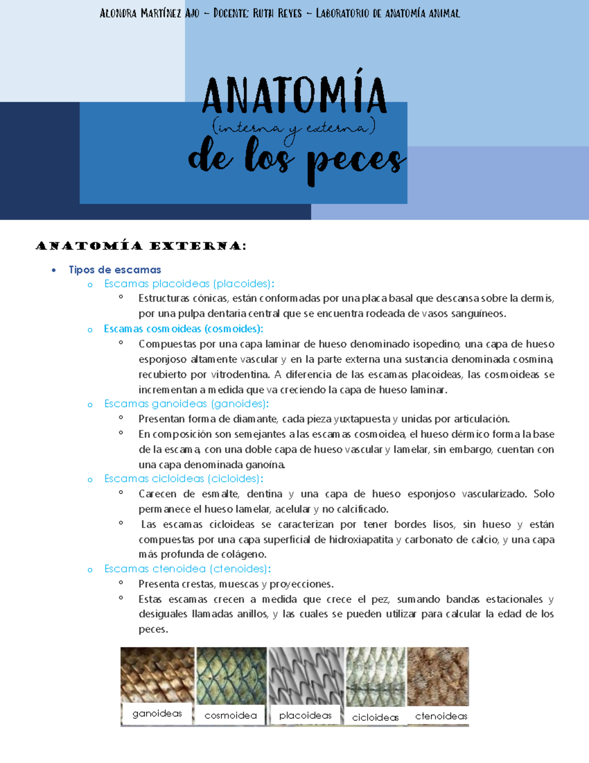 Anatomía de los peces: Escalas, Aletas y Sistemas Internos - Studocu