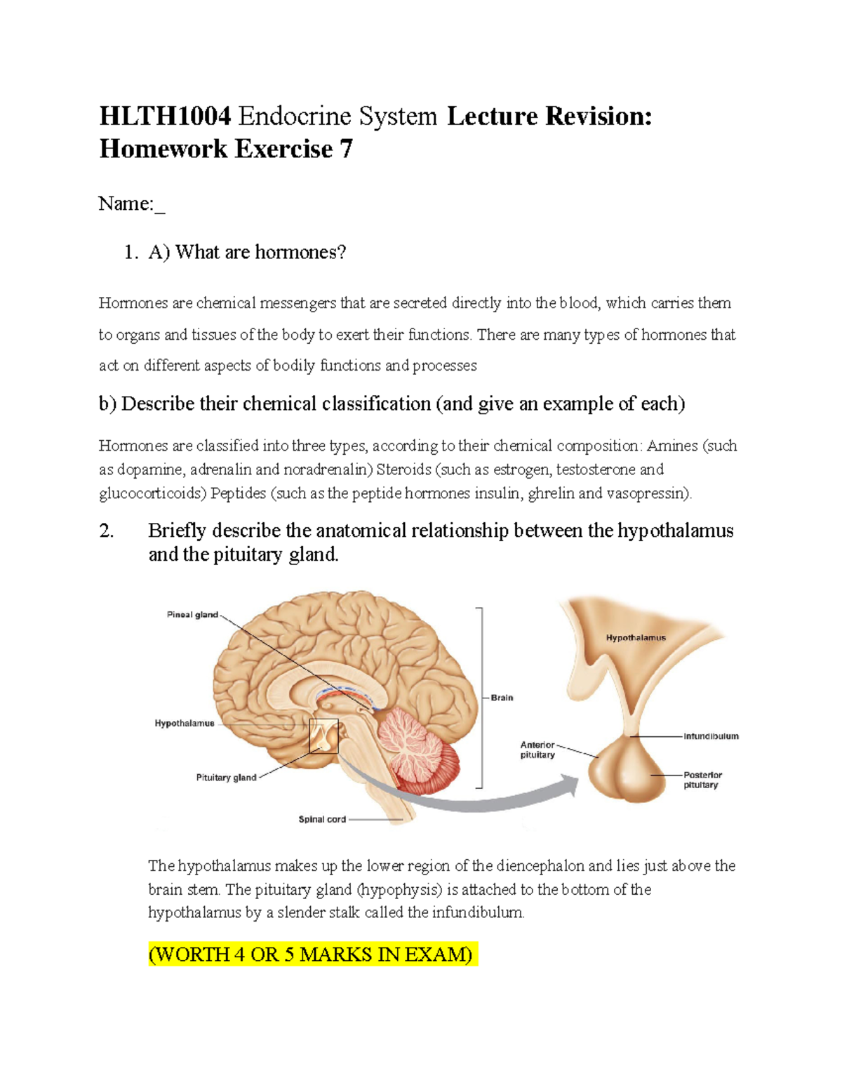 Endocrine System Homework - HLTH1004 Endocrine System Lecture Revision ...