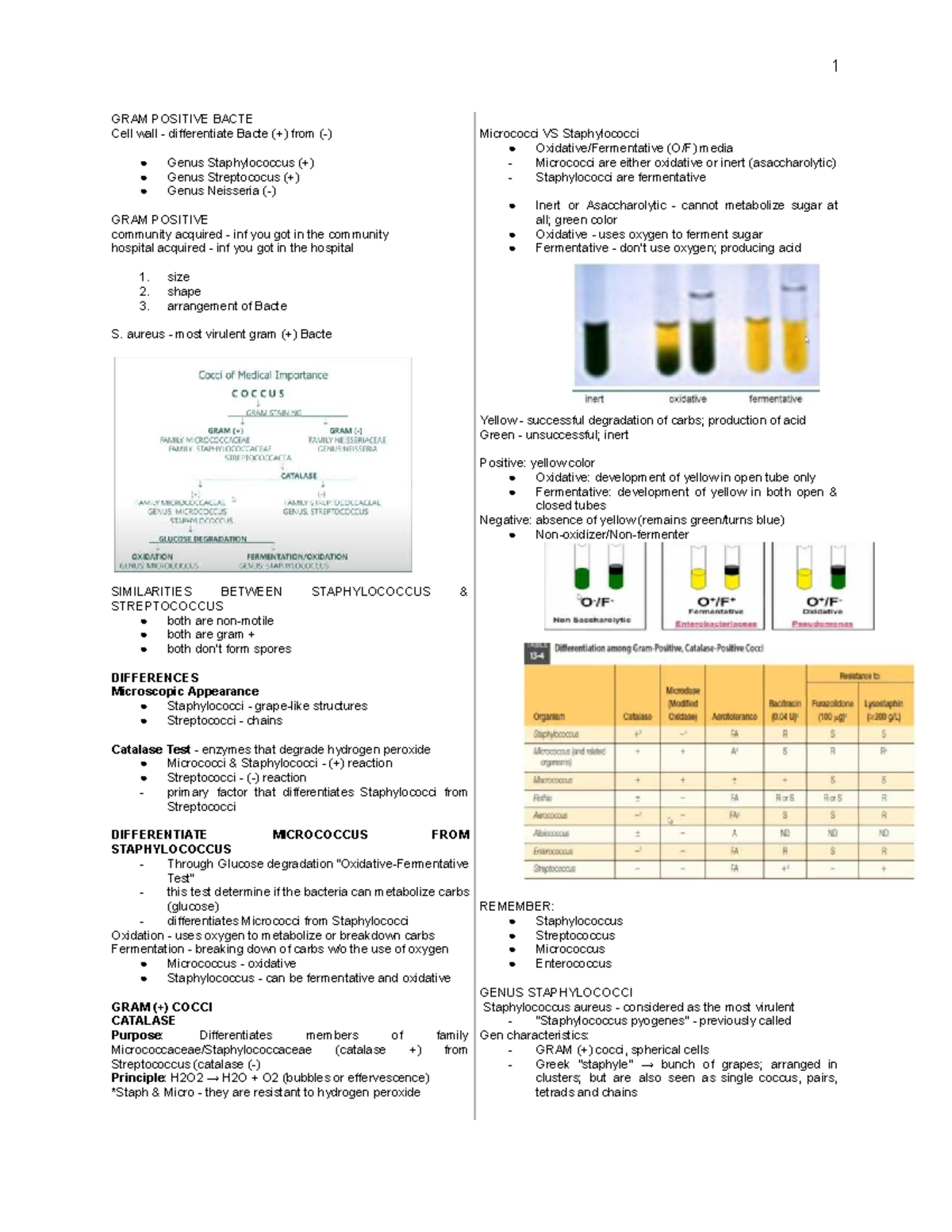 Bacte 1: Gram Positive Bacteria Differentiation and Characteristics ...