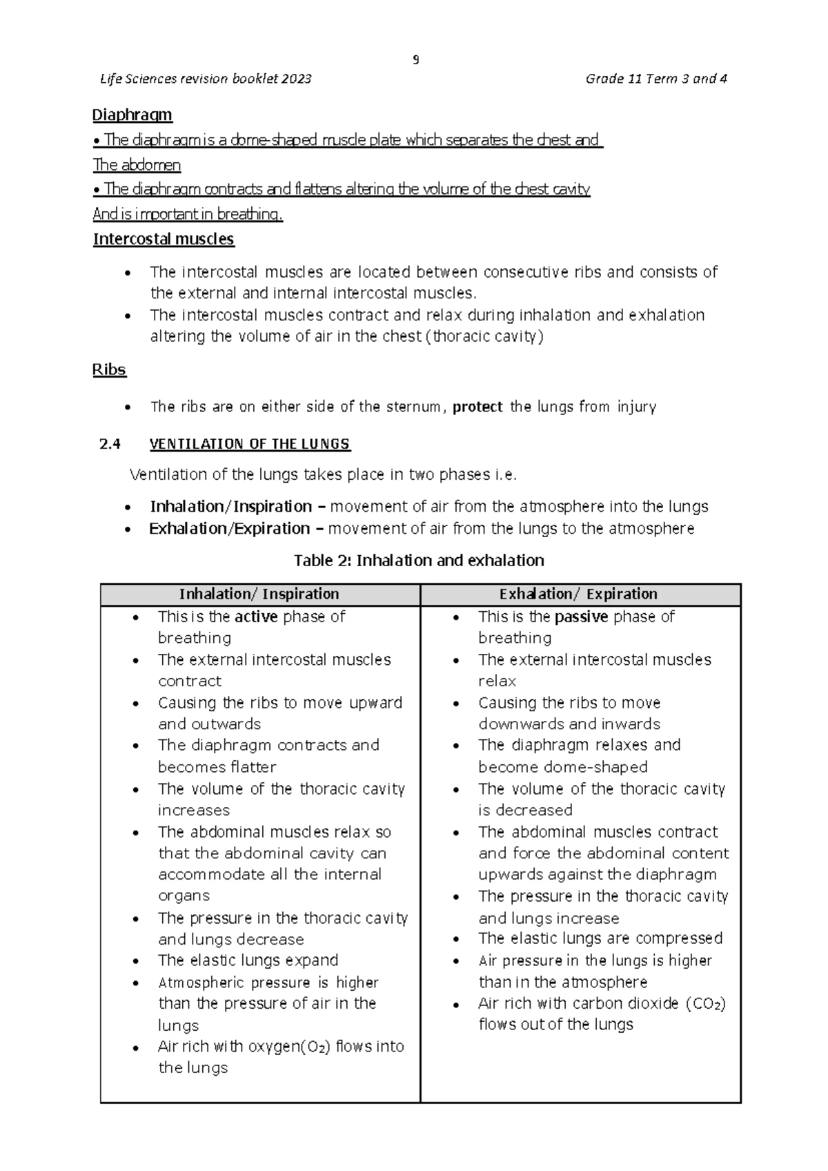 Natural Science Grade 8 June Exam Paper 2019 - Complete Questions and ...