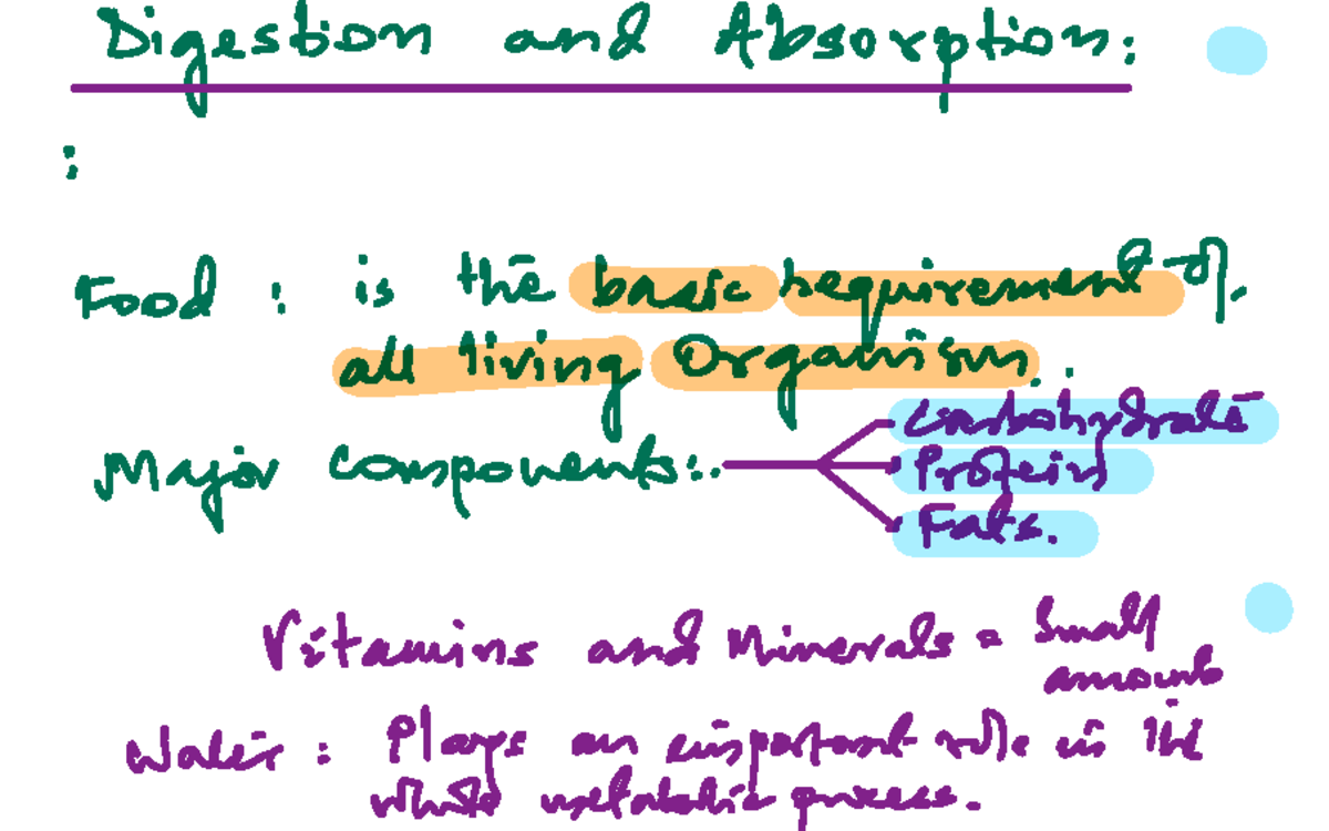 Digestive System Overview: Digestion and Absorption (BIO 101) - Studocu