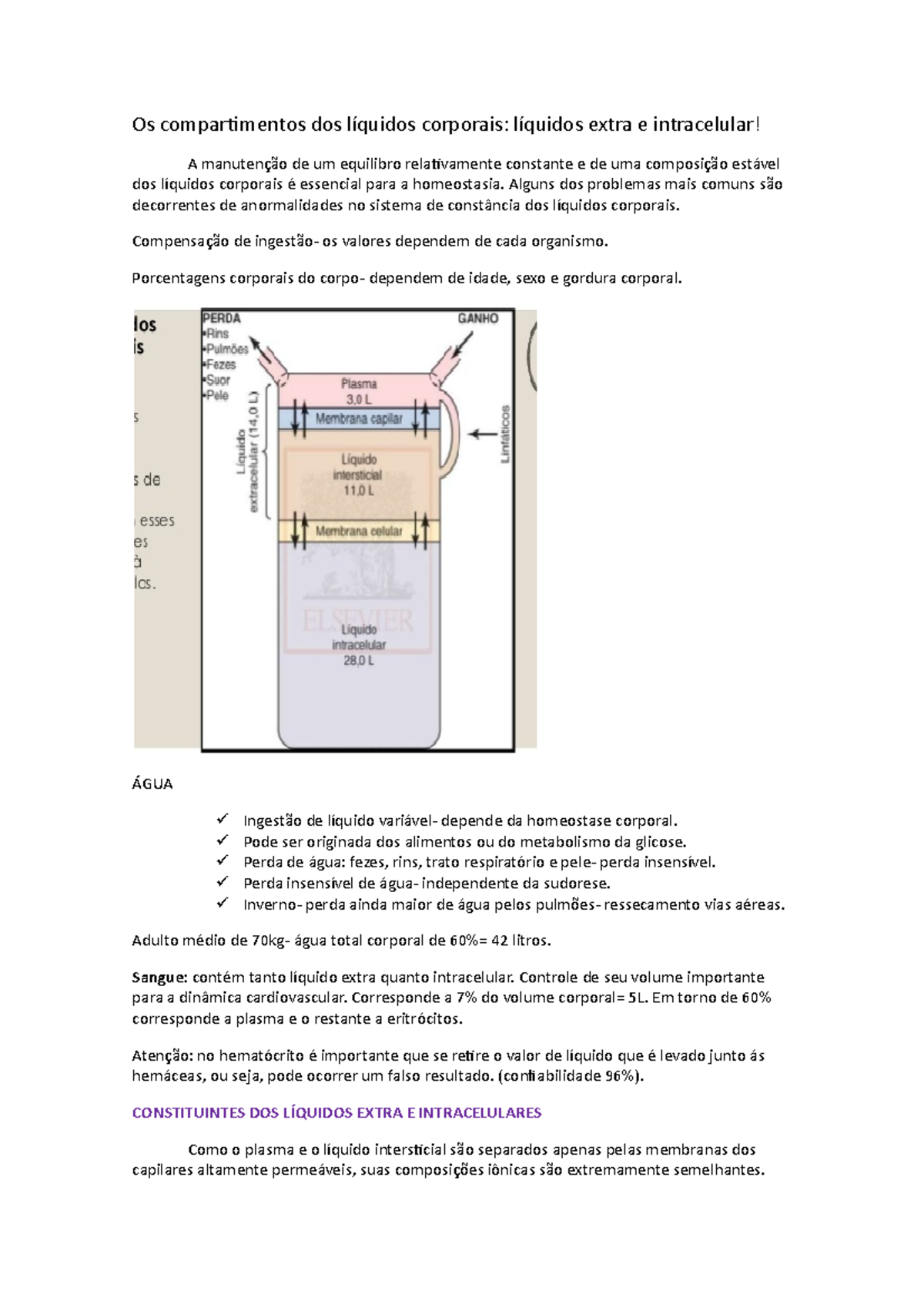 Os compartimentos dos líquidos corporais - Os compartimentos dos ...