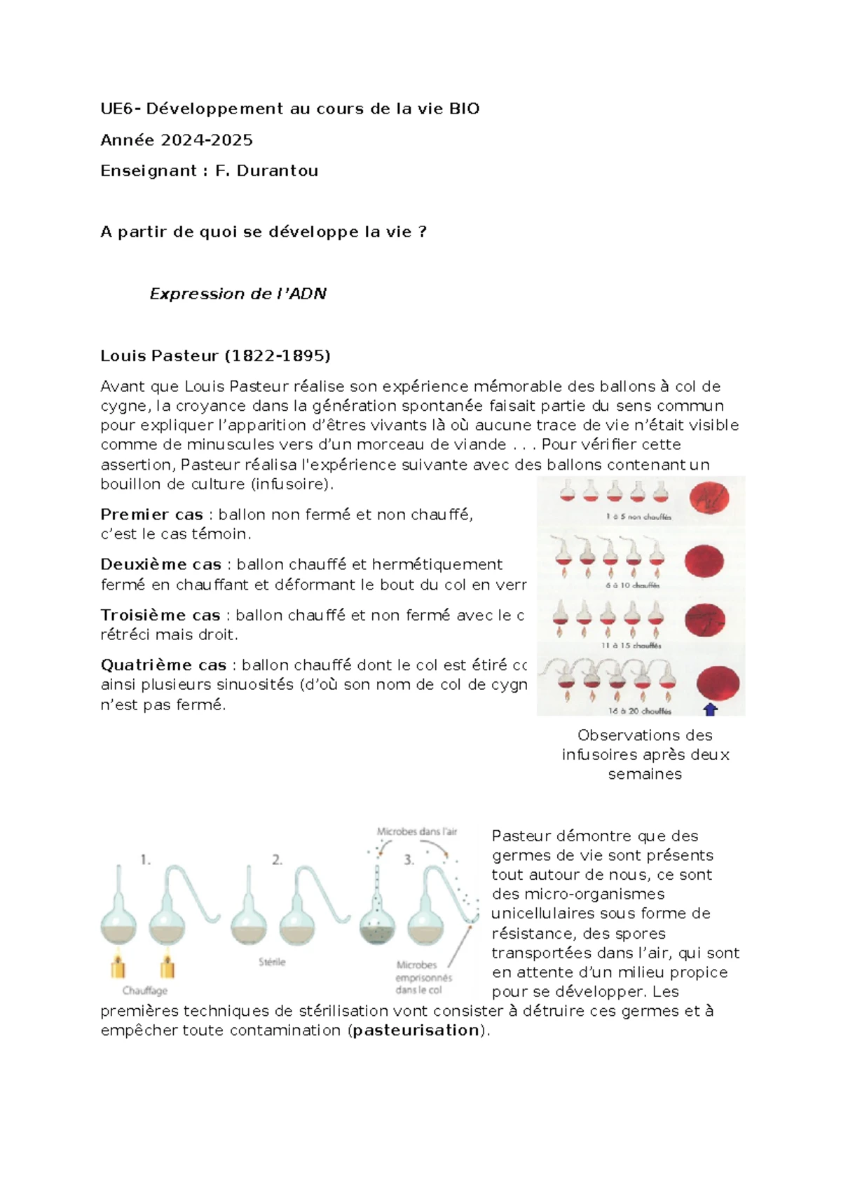 UE 6 : Développement au cours de la vie - Modèles de GESELL et PIAGET ...