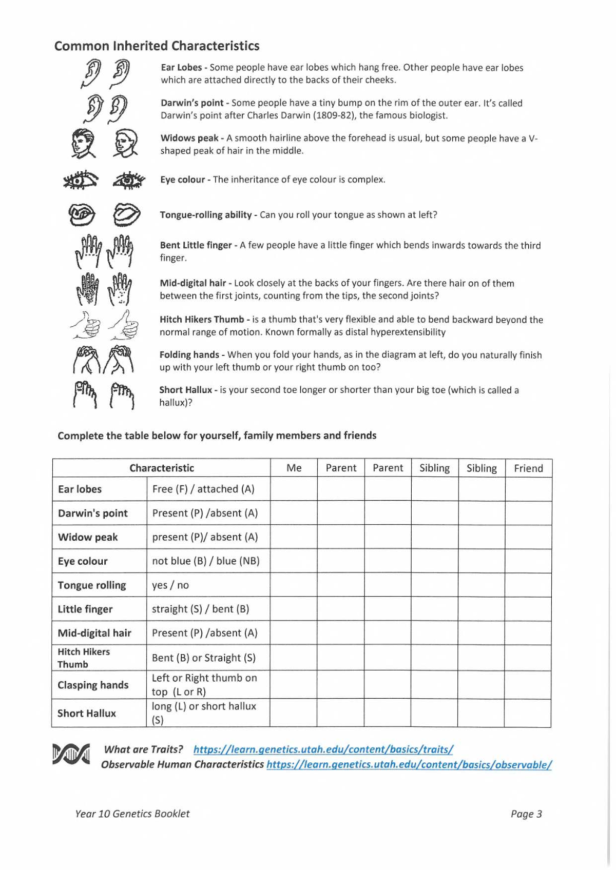 Year 10 Genetics Booklet 2023: Inherited Traits and DNA Structure - Studocu