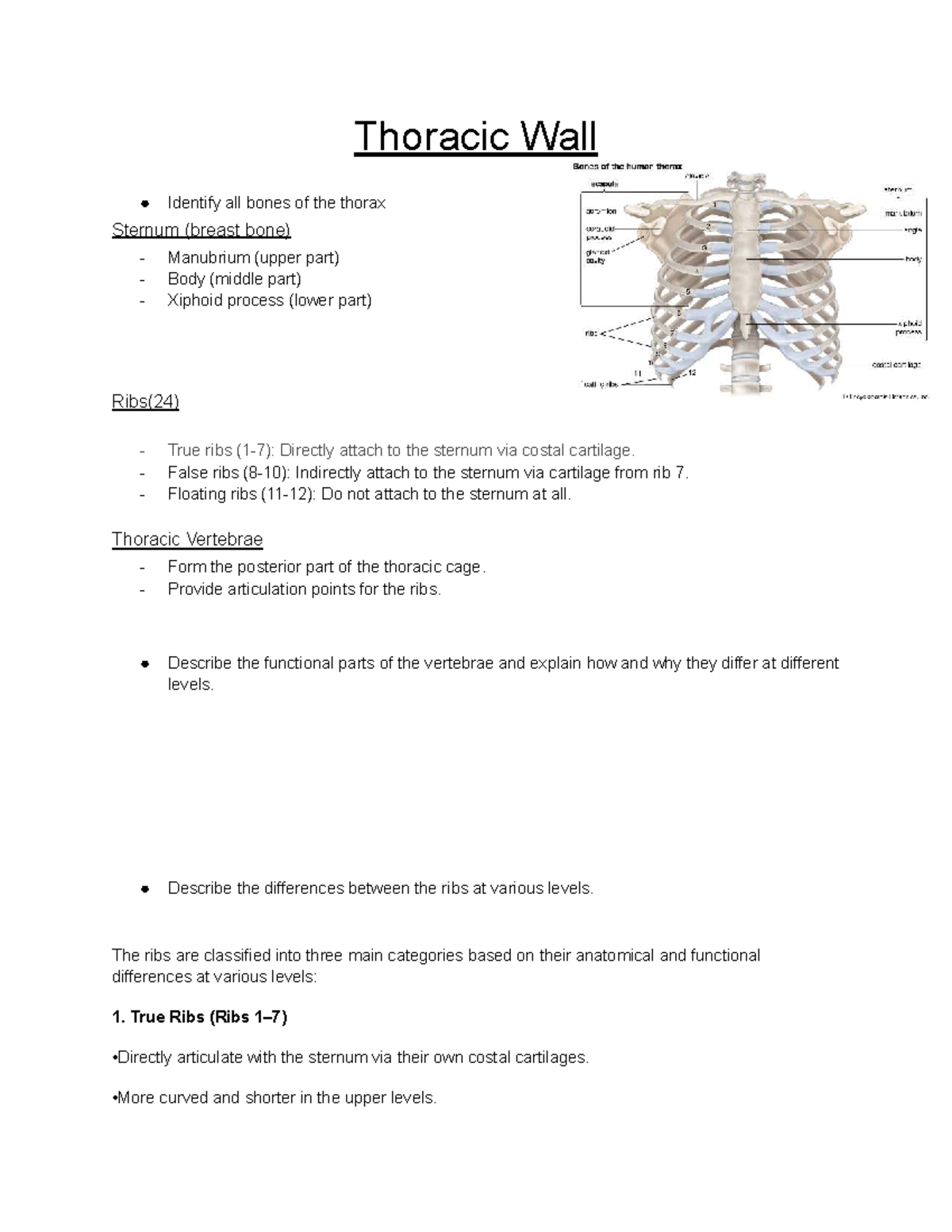 Module 1 - Thoracic wall anatomy and rib classification details - Studocu