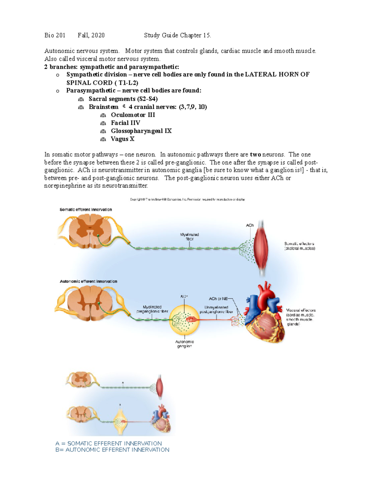 Study Guide Bio 201 - Chapter 15: Autonomic Nervous System Overview ...