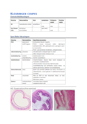 Histologie - HOOFDSTUK 7: spierweefsel 7 SKELETSPIERWEEFSEL 7.1 ...