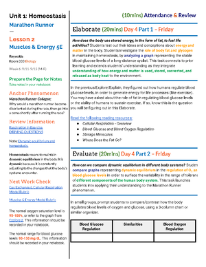 Bio U1 L2 Muscles & Energy Week 5 - Unit 1: Homeostasis Marathon Runner ...