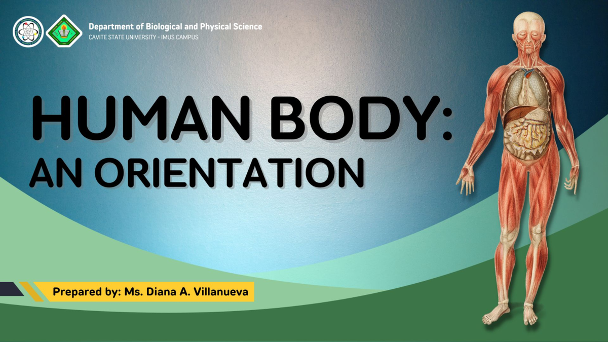 Chapter 1- Human BODY-AN Orientation - CHAPTER 1: • Overview of anatomy ...