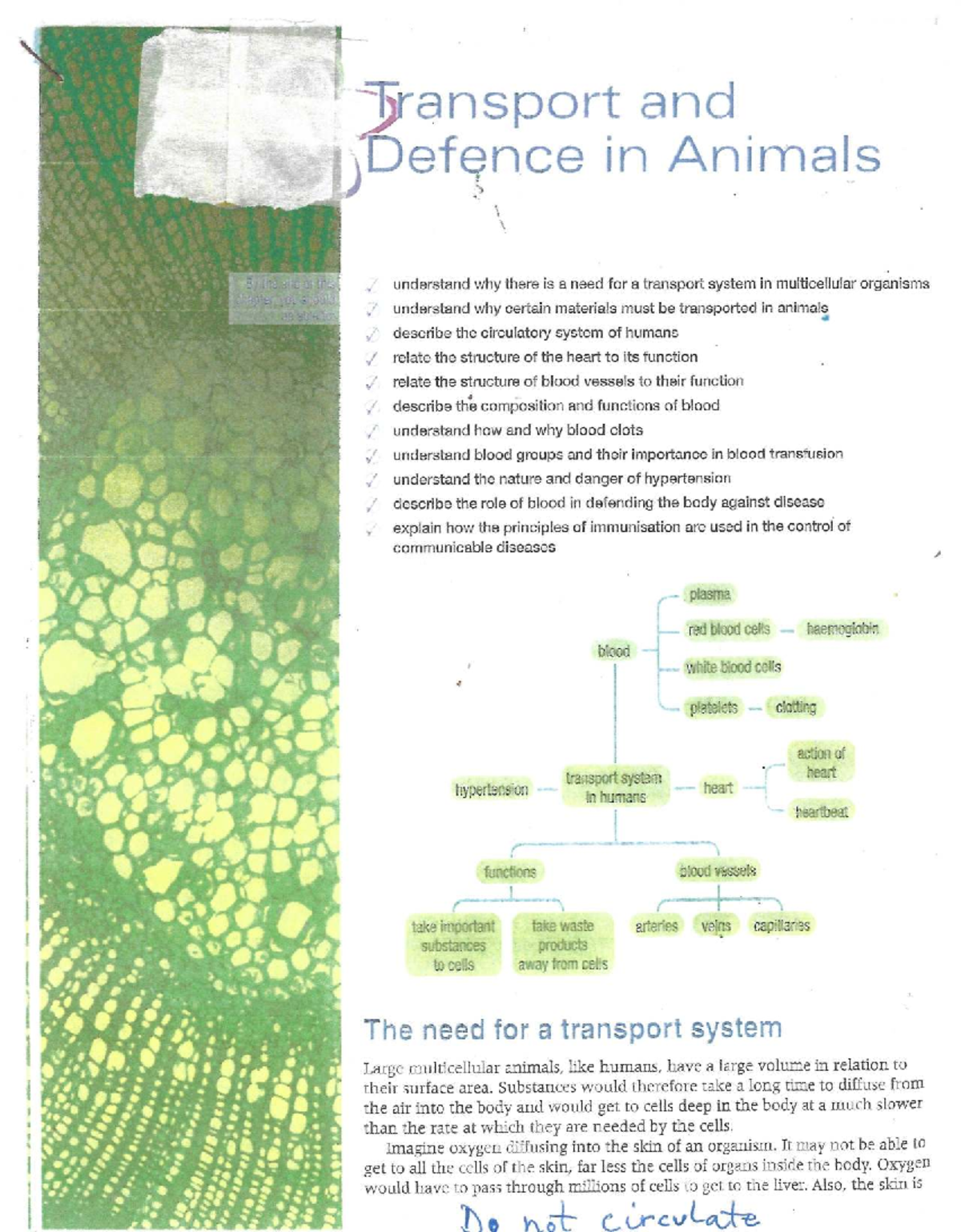 Transport & Defence in Animals: Circulatory System Overview (Chapters ...