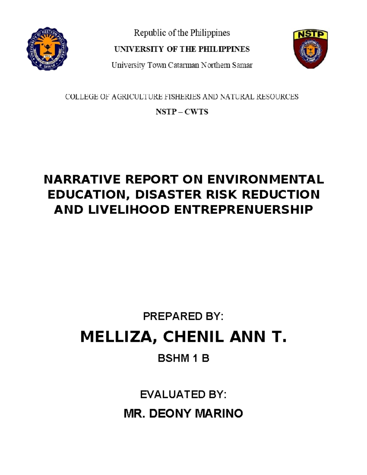 Narrative Report on Disaster Preparedness - NSTP-CWTS Program Summary ...