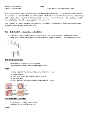 Elements of an Argument Guided Notes - Elements of an Argument I. HOOK ...