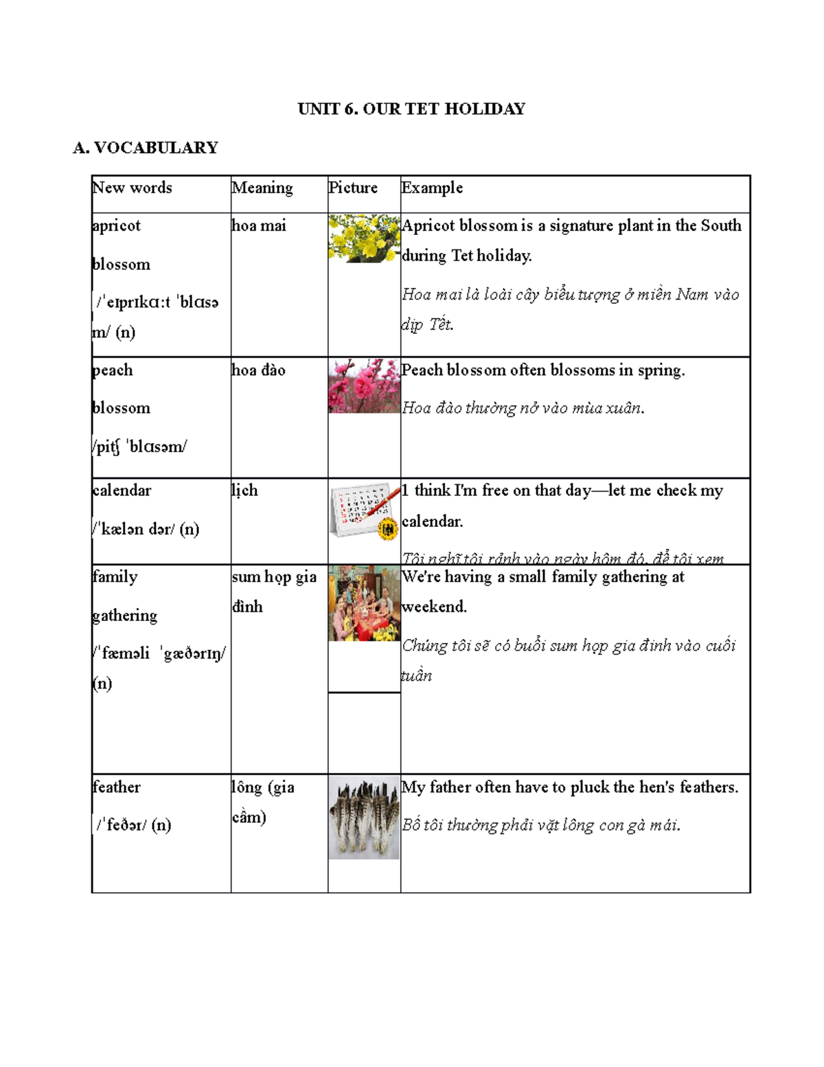 Unit 6 - Vocabulary and Practice Exercises for 6th Grade - Studocu