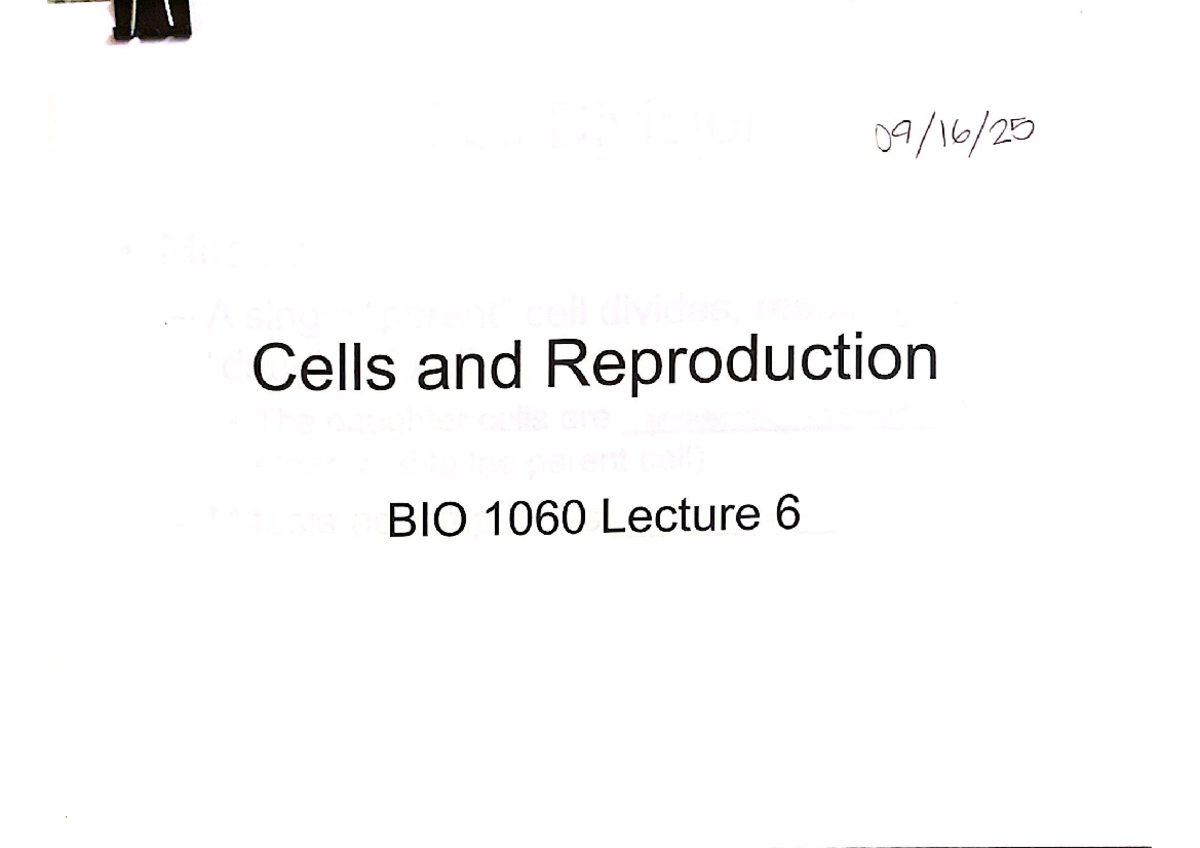 BIO 1060 Lecture 6: Cells and Reproduction - Studocu