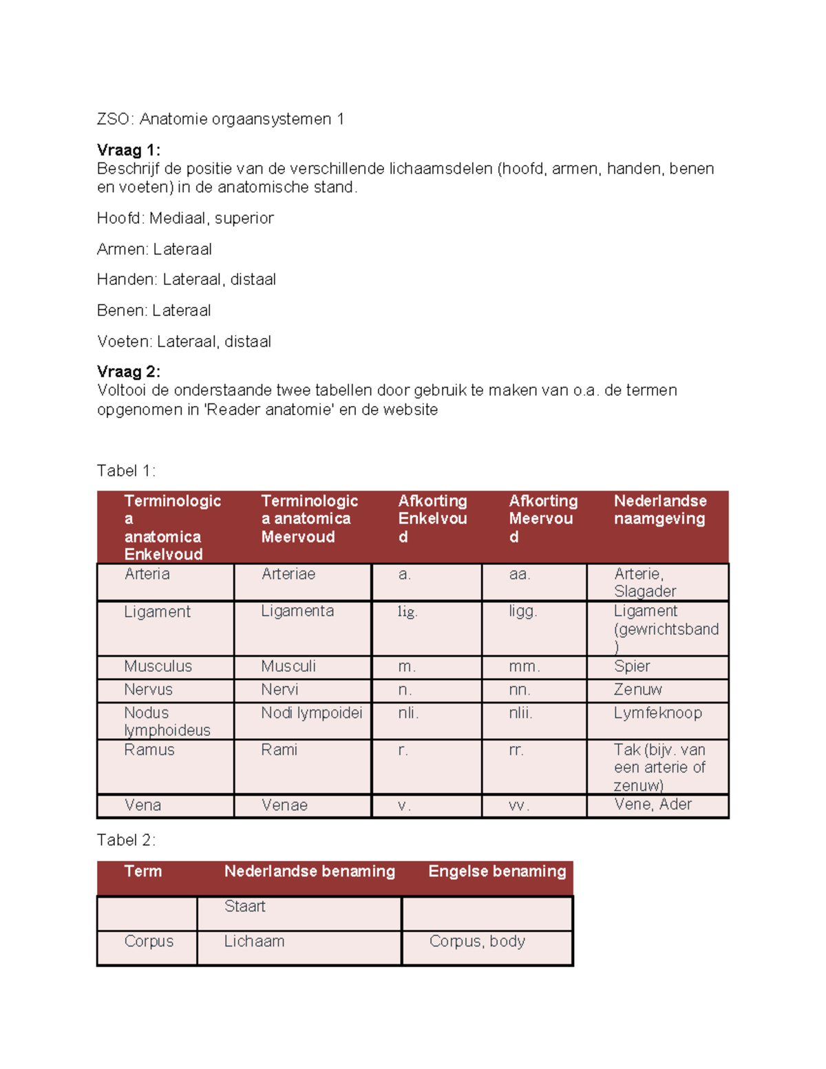 ZSO: Anatomie Orgaansystemen 1 - Anatomische Posities en Bloedvaten ...