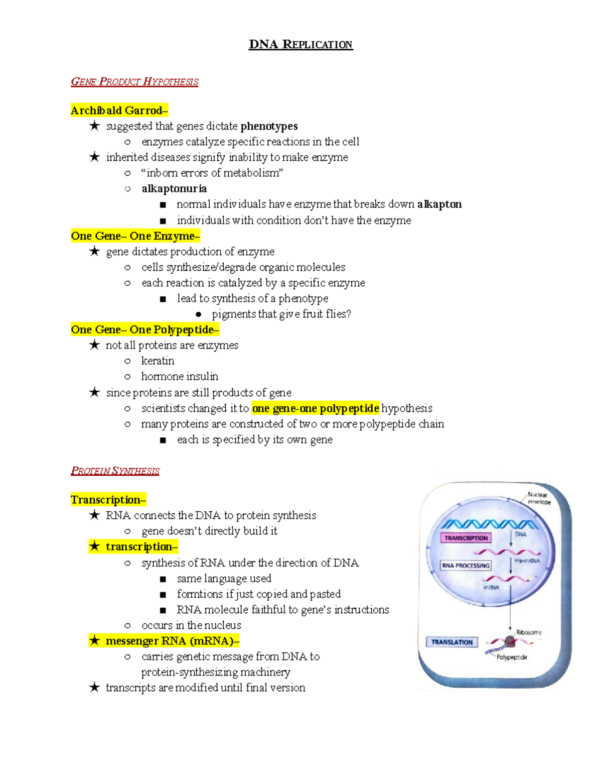 Transcription Notes #17.1: DNA Replication & Gene Products - Studocu