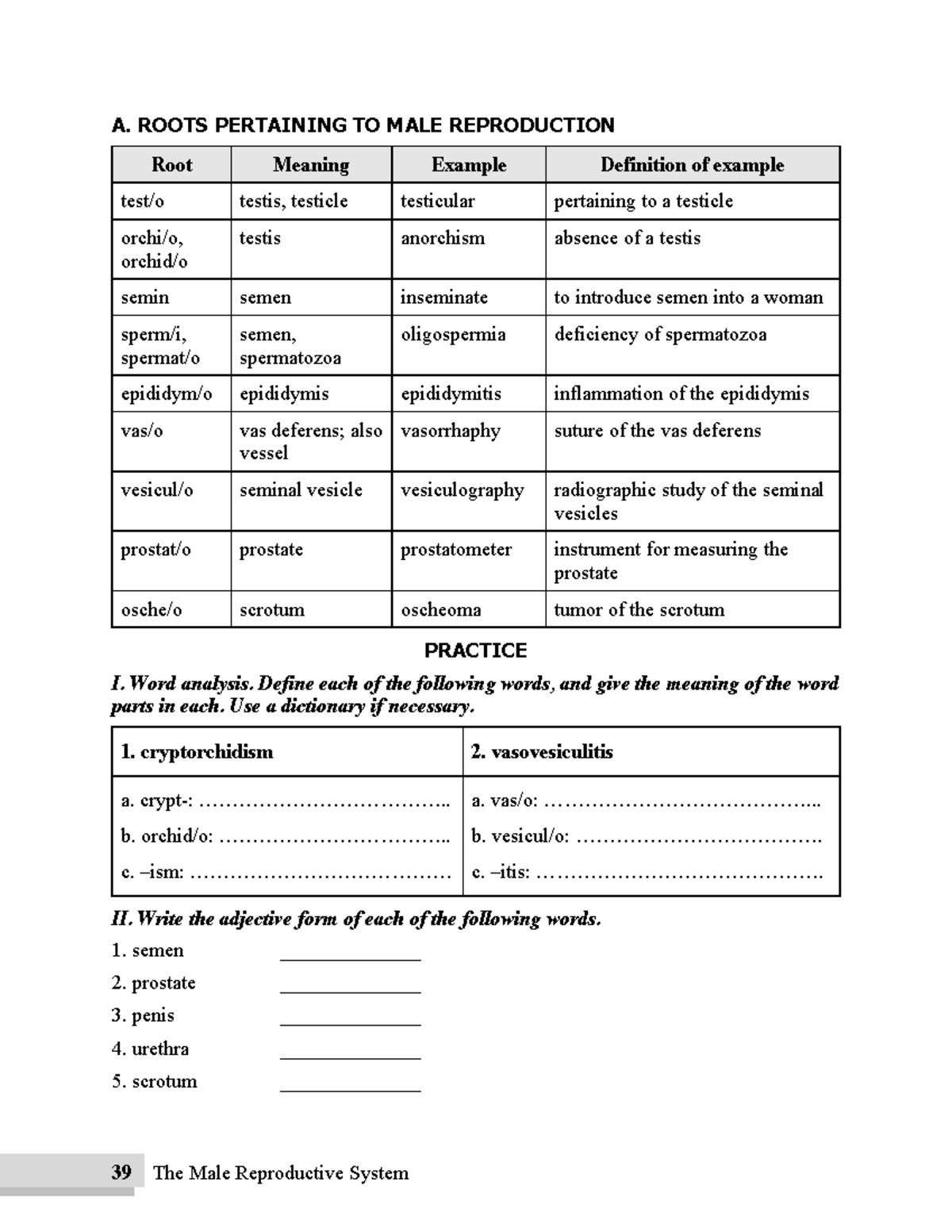 Medical Terminology 6a: Key Terms in Male Reproductive System - Studocu