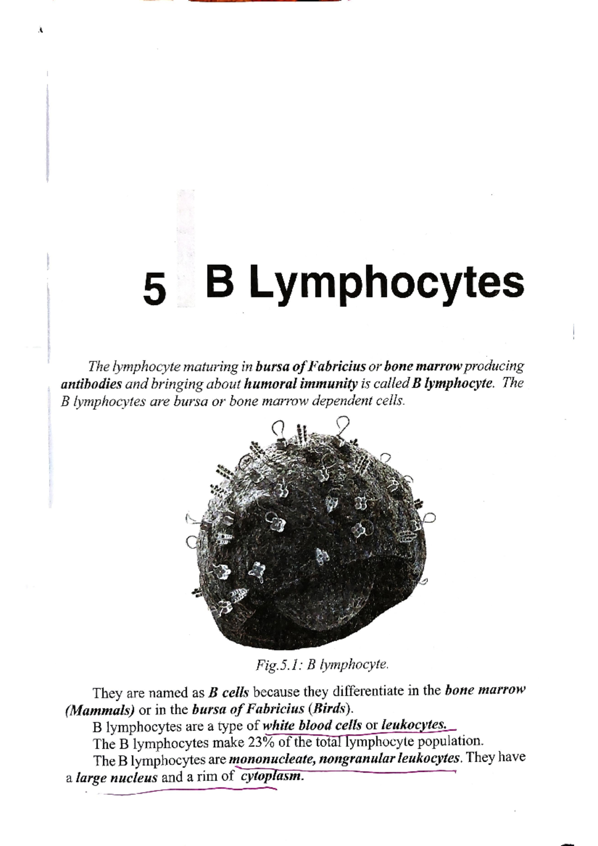 B Lymphocytes - Environmental Biology, Forest Botany, Plant ...