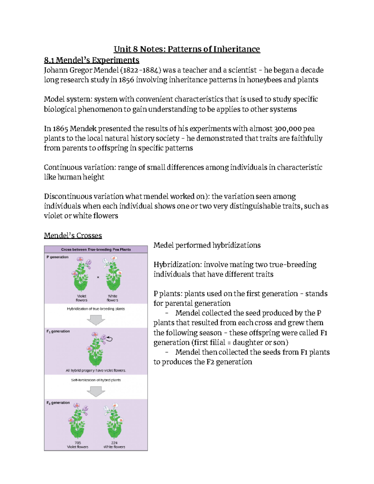 Biology Unit 8 Notes: Patterns of Inheritance - Unit 8 Notes: Patterns ...