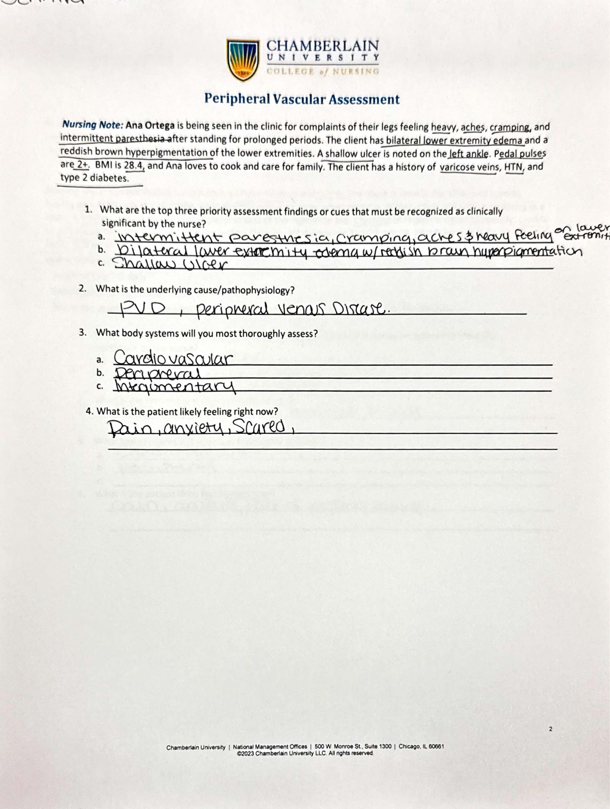 CHAMBERLAIN NURSING Peripheral Vascular Assessment Notes - Studocu