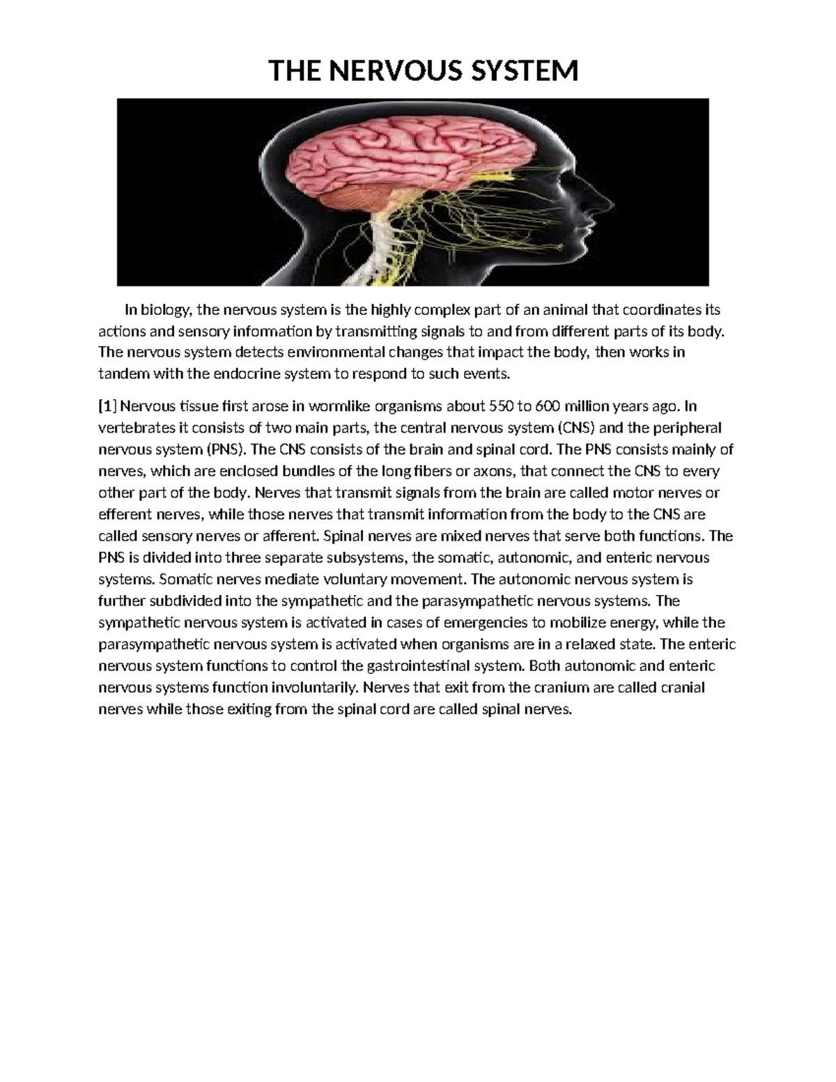 Biology 101: Overview of the Nervous System and Its Functions - Studocu