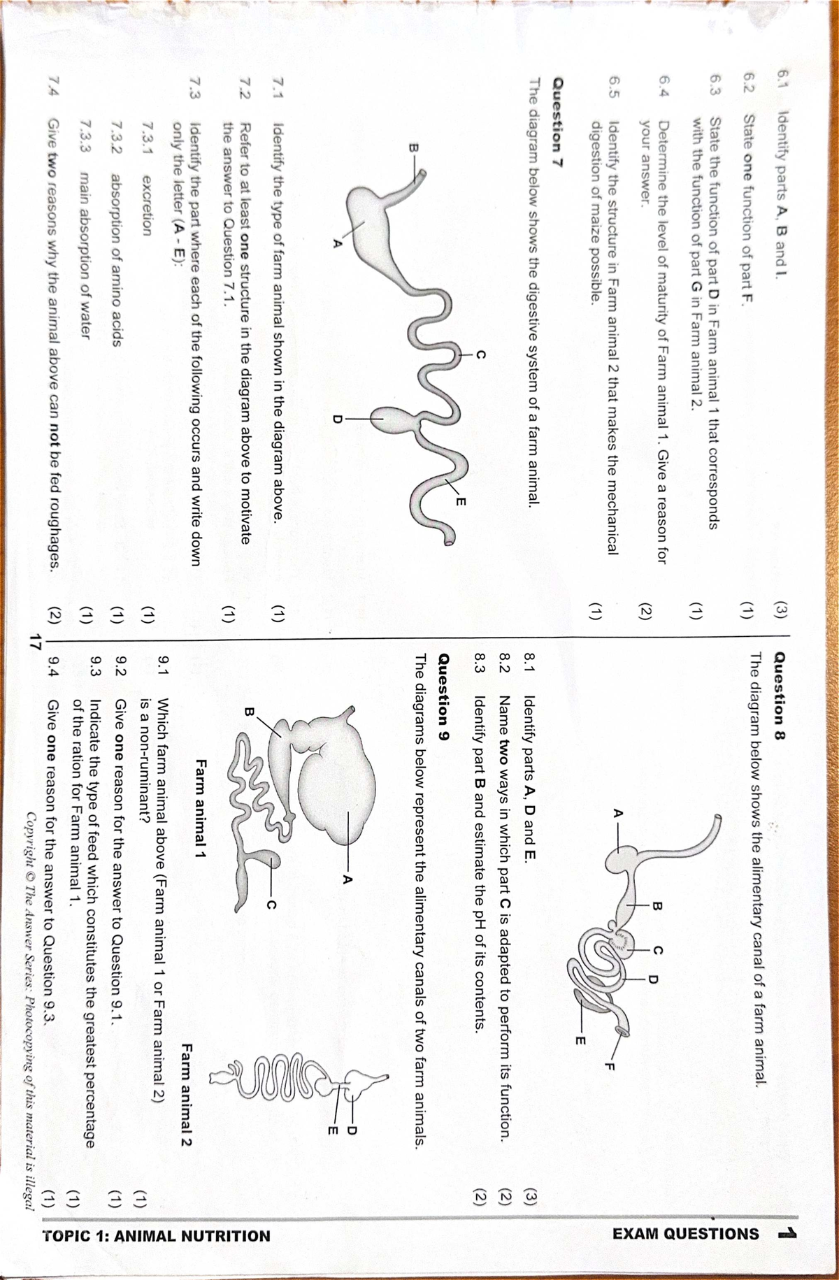 Alimentary Canal Activities: Exam Questions & Functions (AN 101) - Studocu