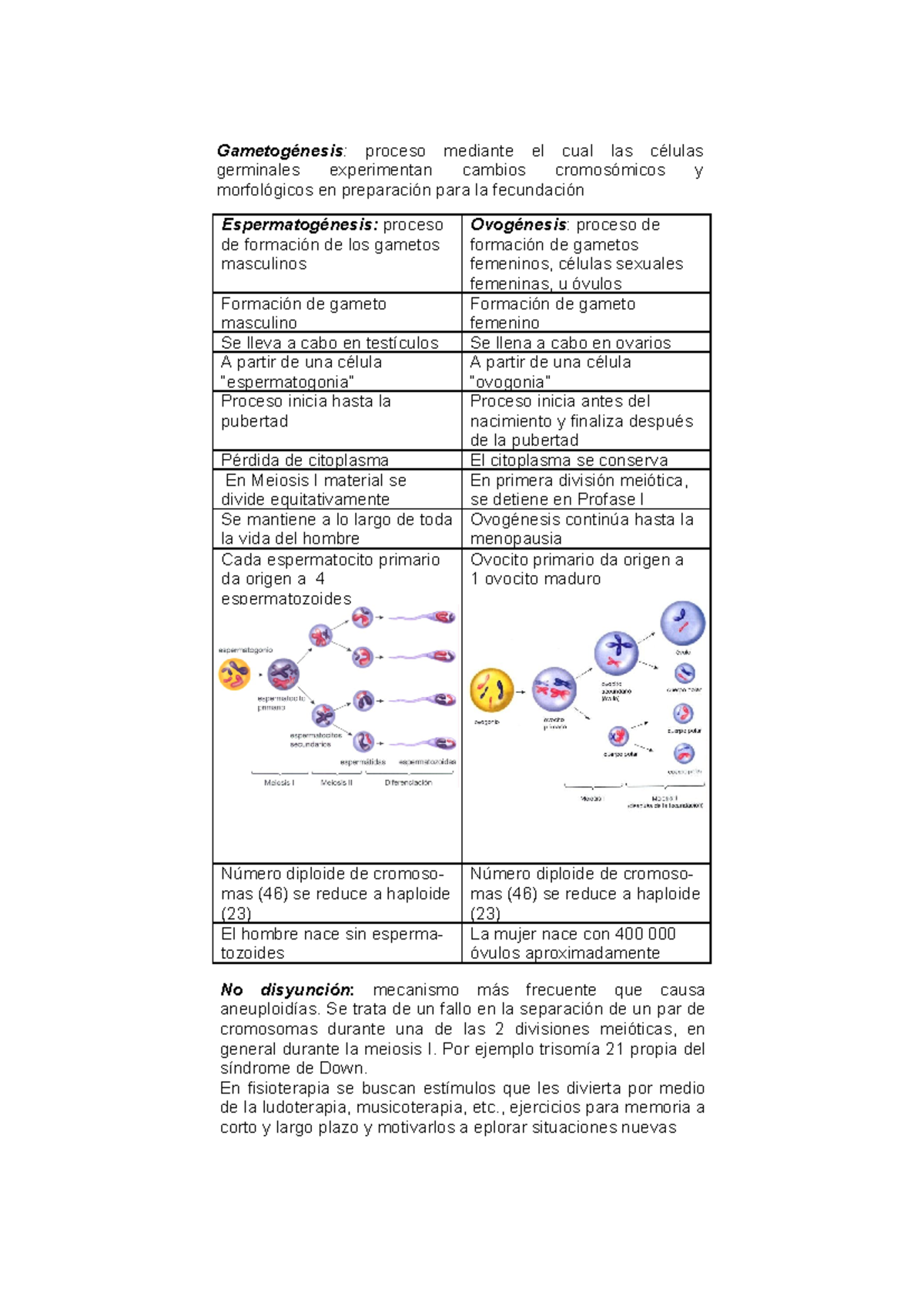 Espermatogenesis Y Ovogenesis Veterinaria