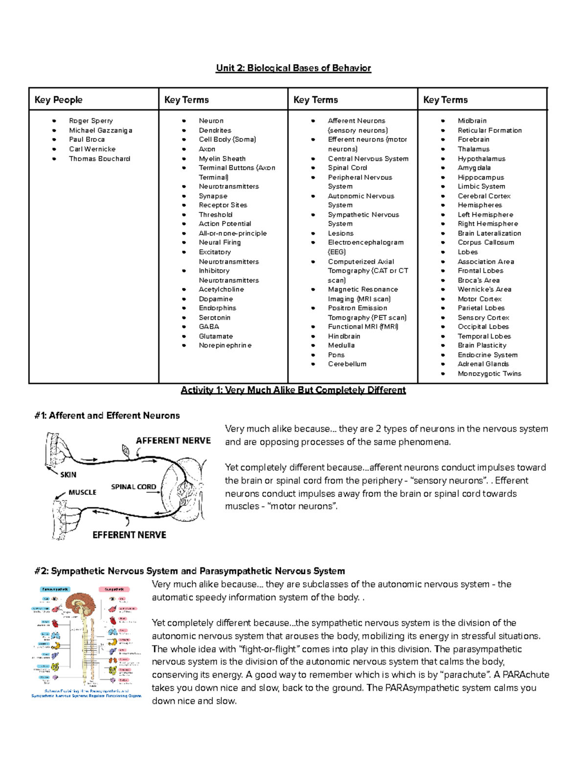 Biological Bases of Behavior Review Packet Answer Key (Unit 2) - Studocu