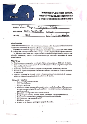 Centro Semioval - Apuntes 1 - CAPITULO XVIII. El centro semioval o ...