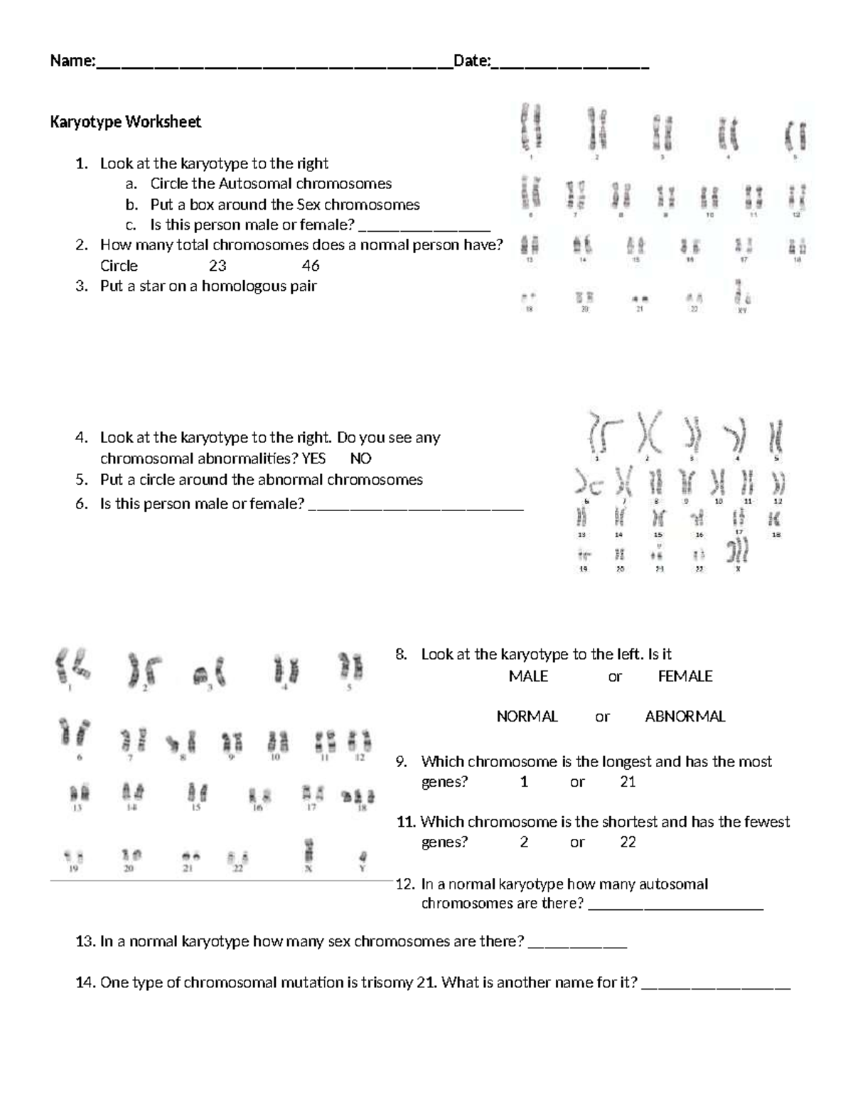 Genetics 101: Karyotype Lab Worksheet for Analysis and Study - Studocu