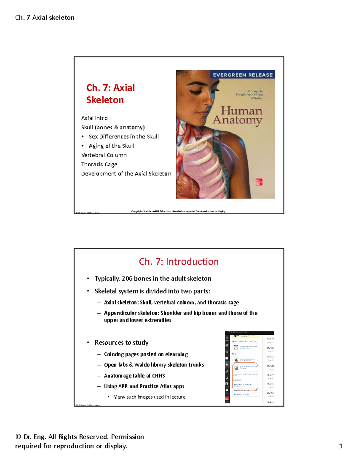 Ch. 7: Axial Skeleton Overview and Key Concepts - Studocu