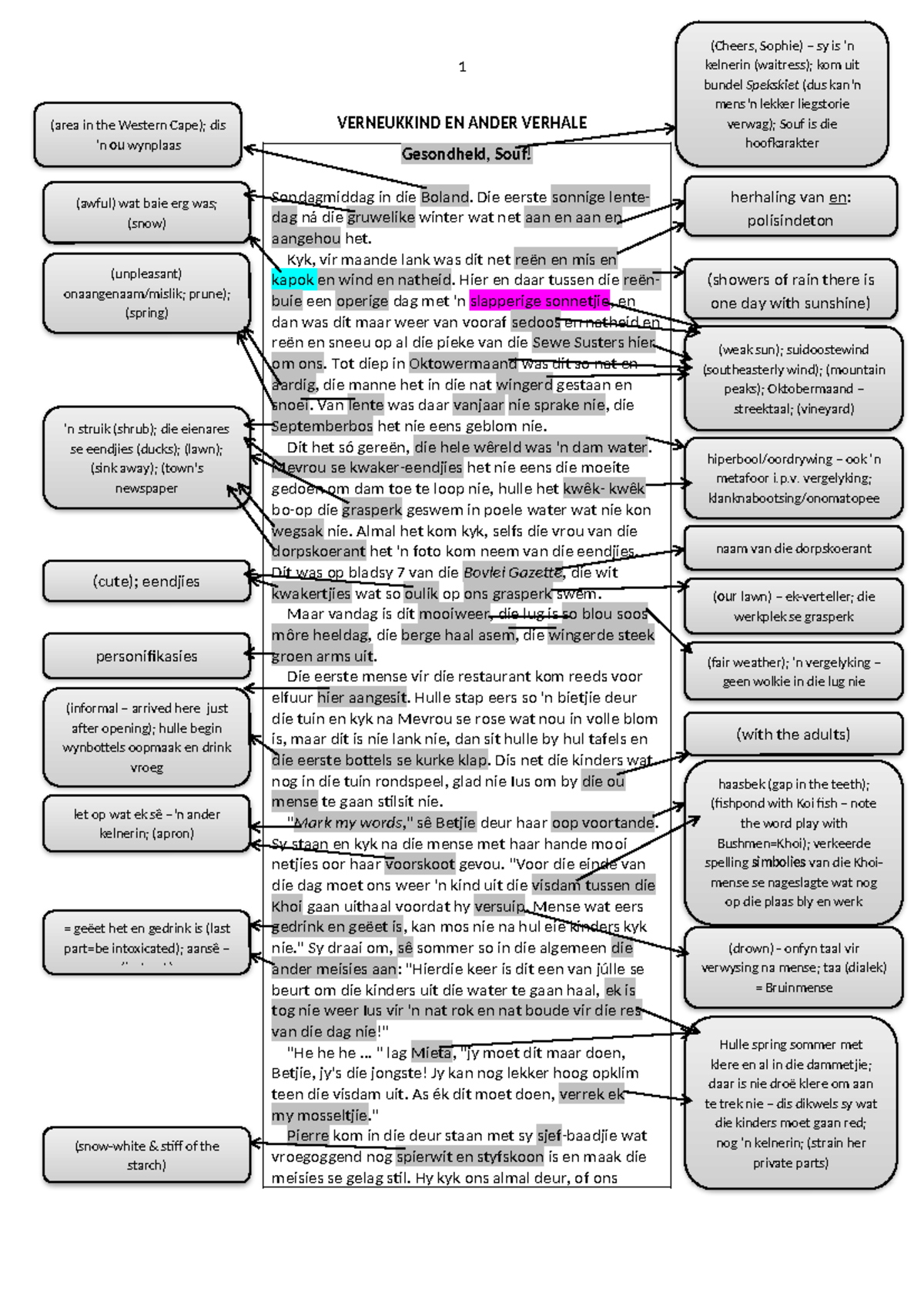 Afrikaans Practice – Gesondheid, Souf! Summary and Analysis - Studocu