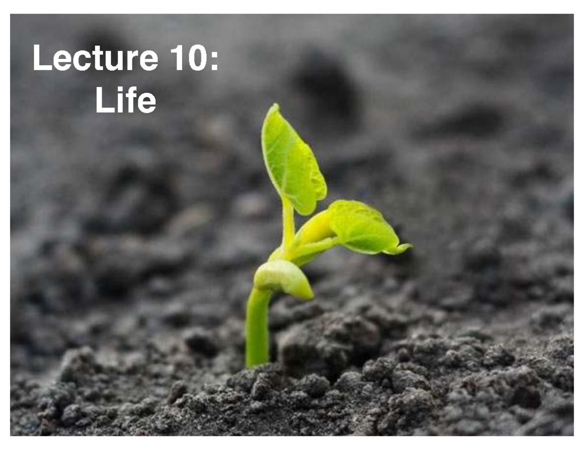Characteristics of Life: Lecture 10 Overview (BIOL 101) - Studocu