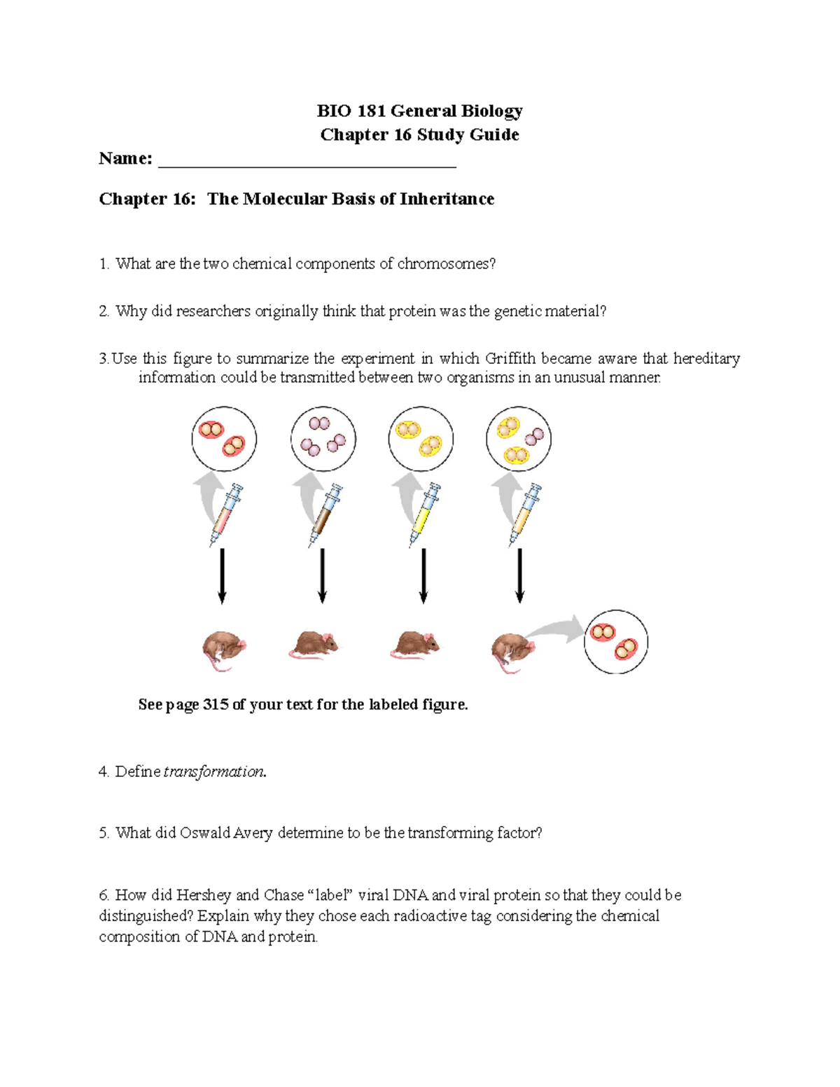 Chapter 16 Study Guide F23 - BIO 181 General Biology Chapter 16 Study ...