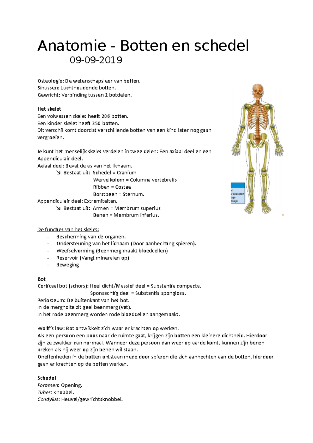 Anatomie: Botten en Schedel, Osteologie Overzicht en Functies - Studeersnel