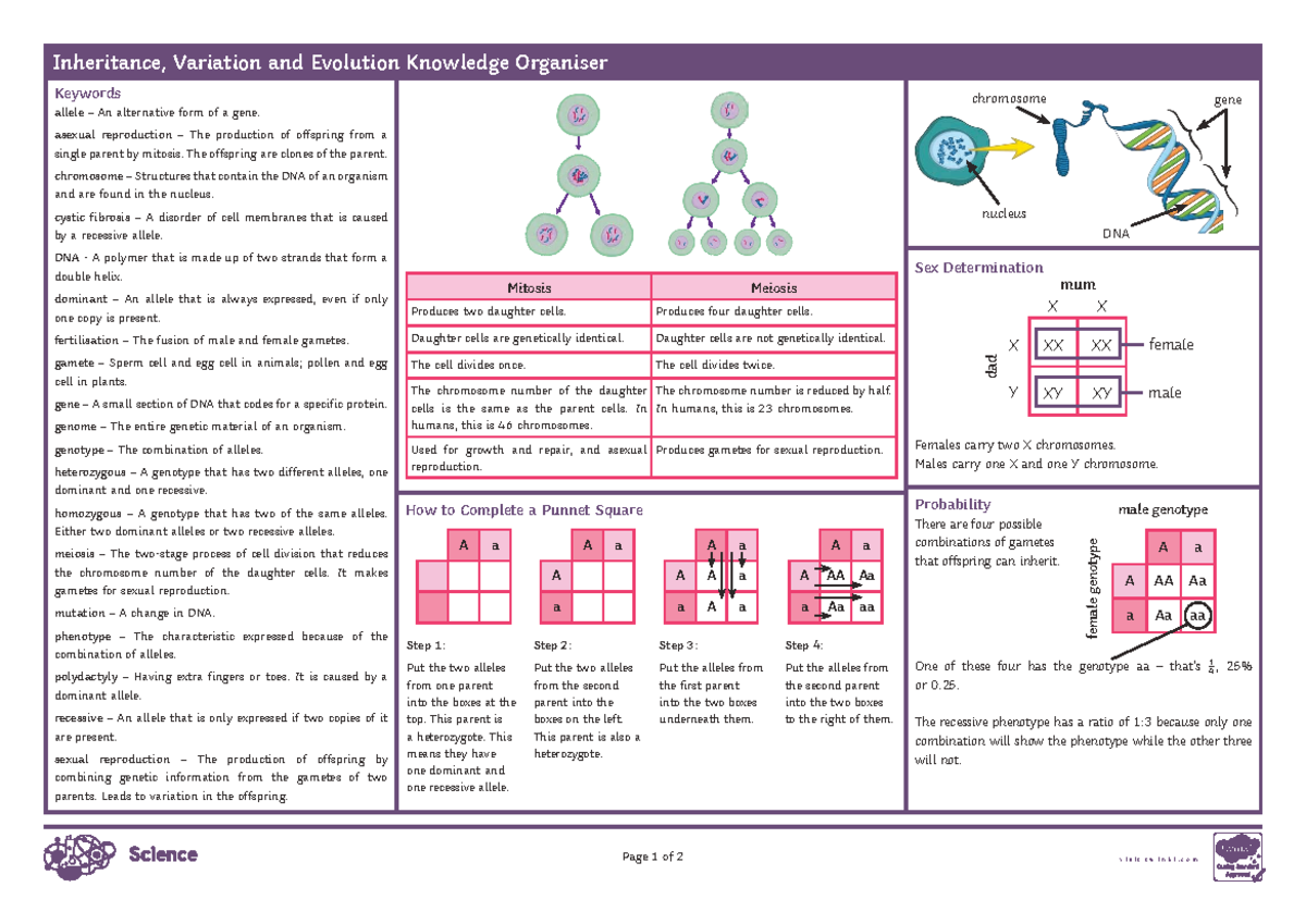 B6 Inheritance, Variation & Evolution Knowledge Organiser - Studocu